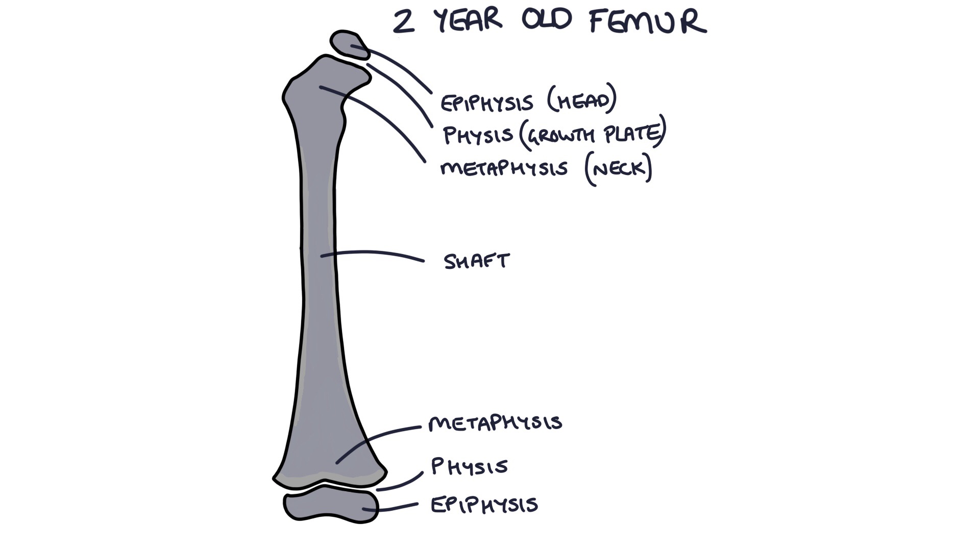 Fractures – Zero To Finals