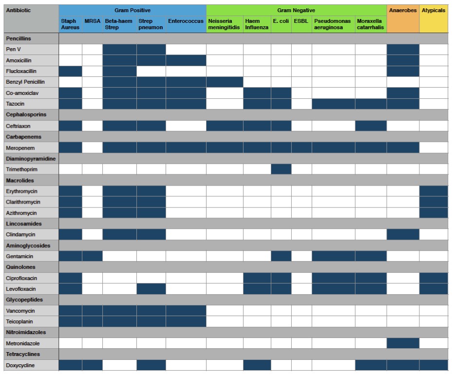 Antibiotic Infection Chart