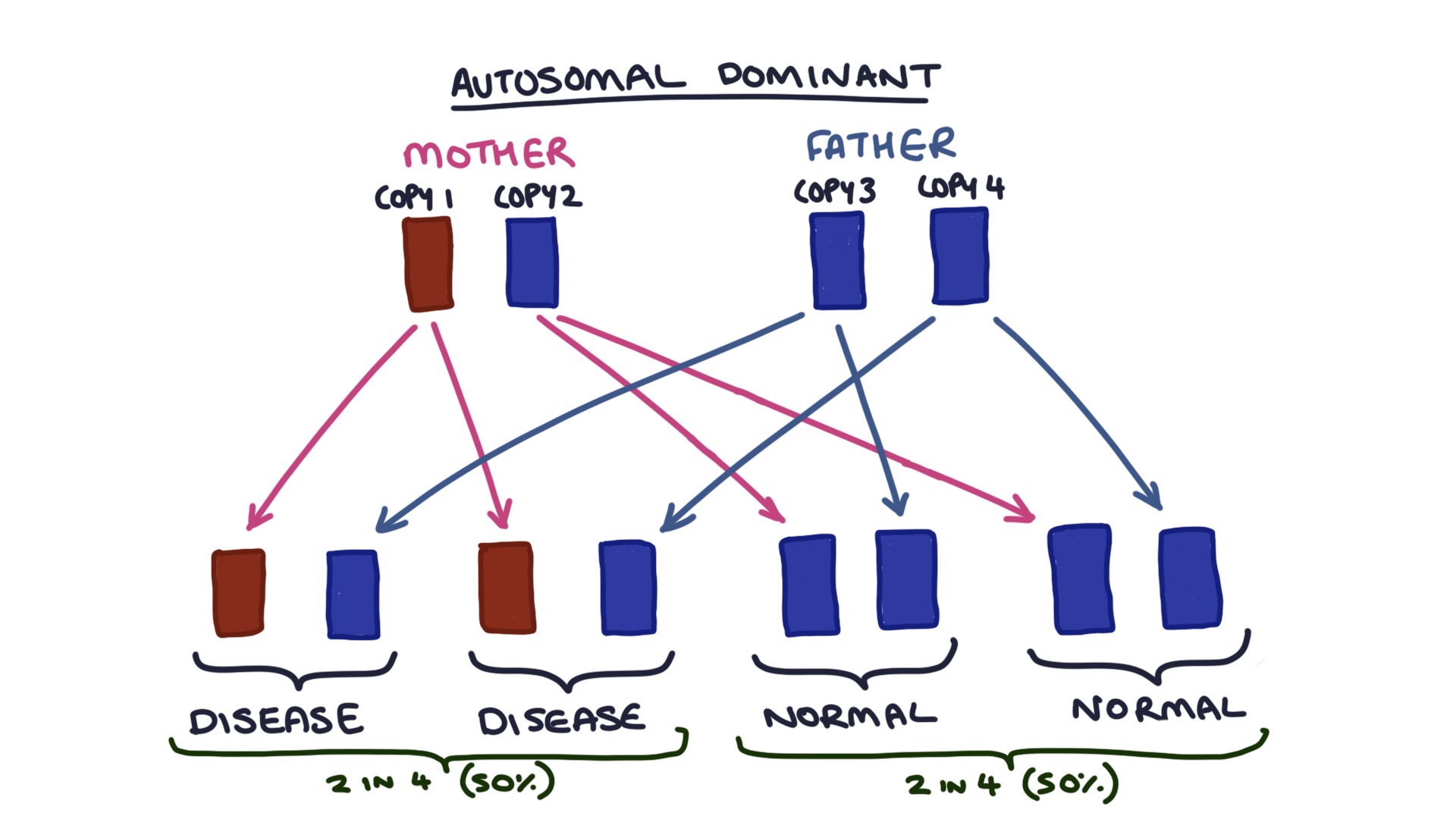 Mendelian Inheritance of Single Gene Disorders – Zero To Finals