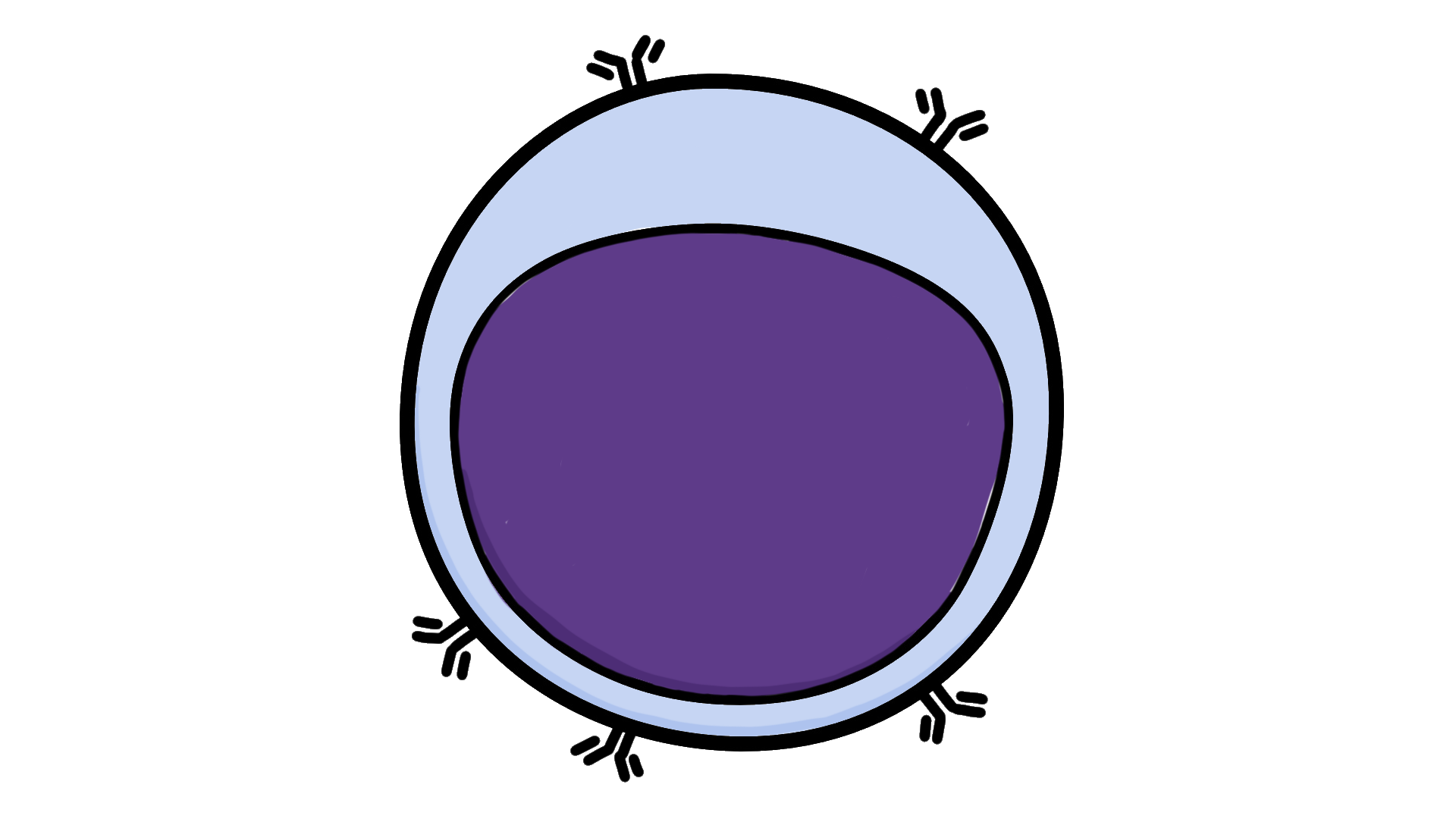 Cells of the Immune System – Zero To Finals