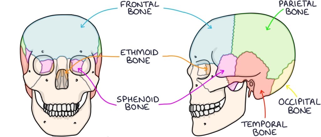Skeleton – Zero To Finals