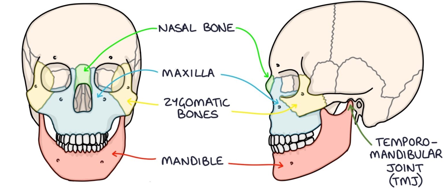 Skeleton – Zero To Finals