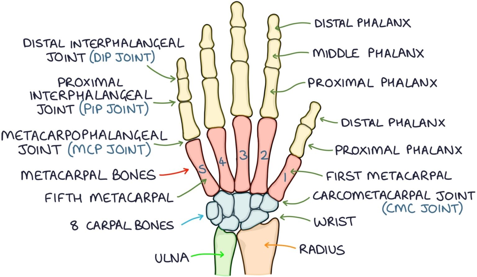 Skeleton – Zero To Finals