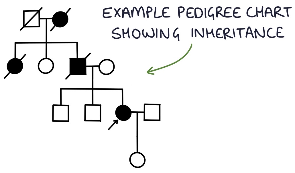 Huntington’s Chorea – Zero To Finals