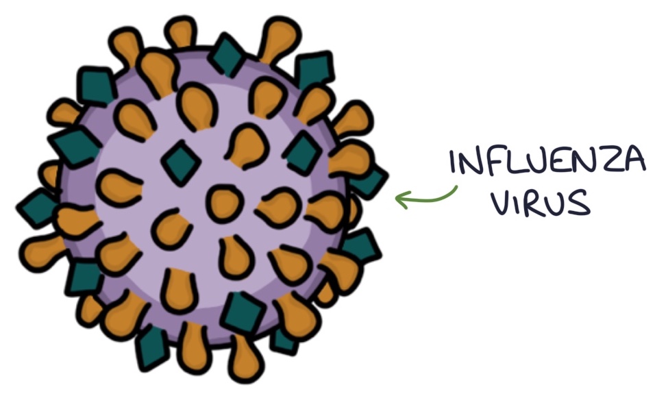 Influenza – Zero To Finals