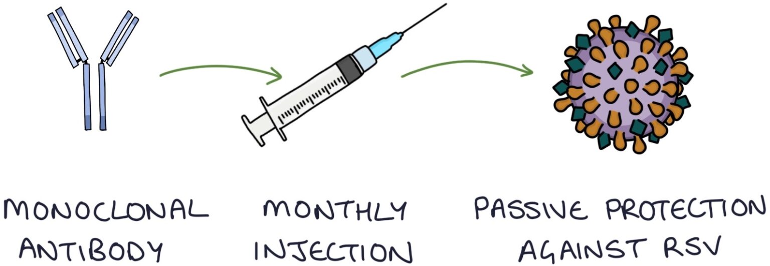 Bronchiolitis – Zero To Finals