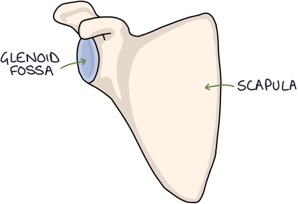 Skeleton – Zero To Finals