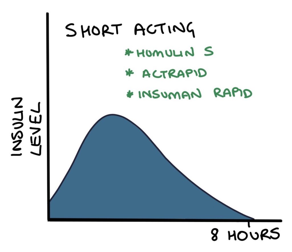 Type 2 Diabetes – Zero To Finals