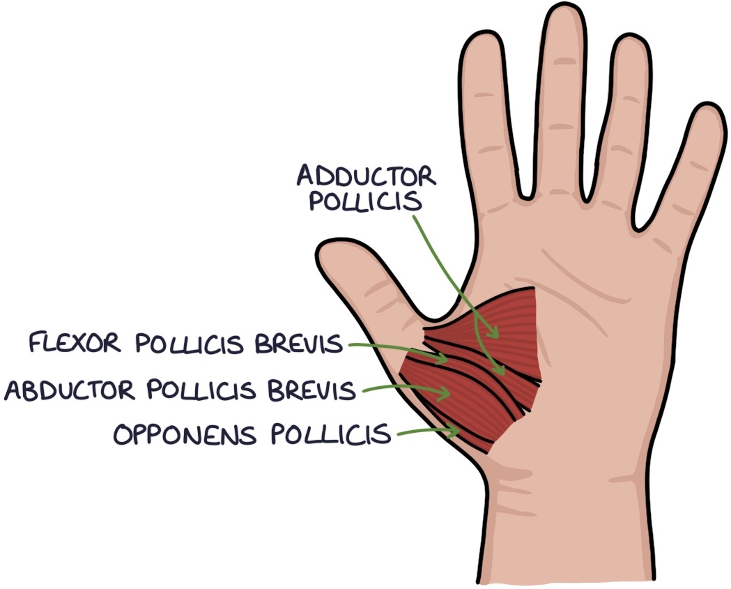 Carpal Tunnel Syndrome – Zero To Finals