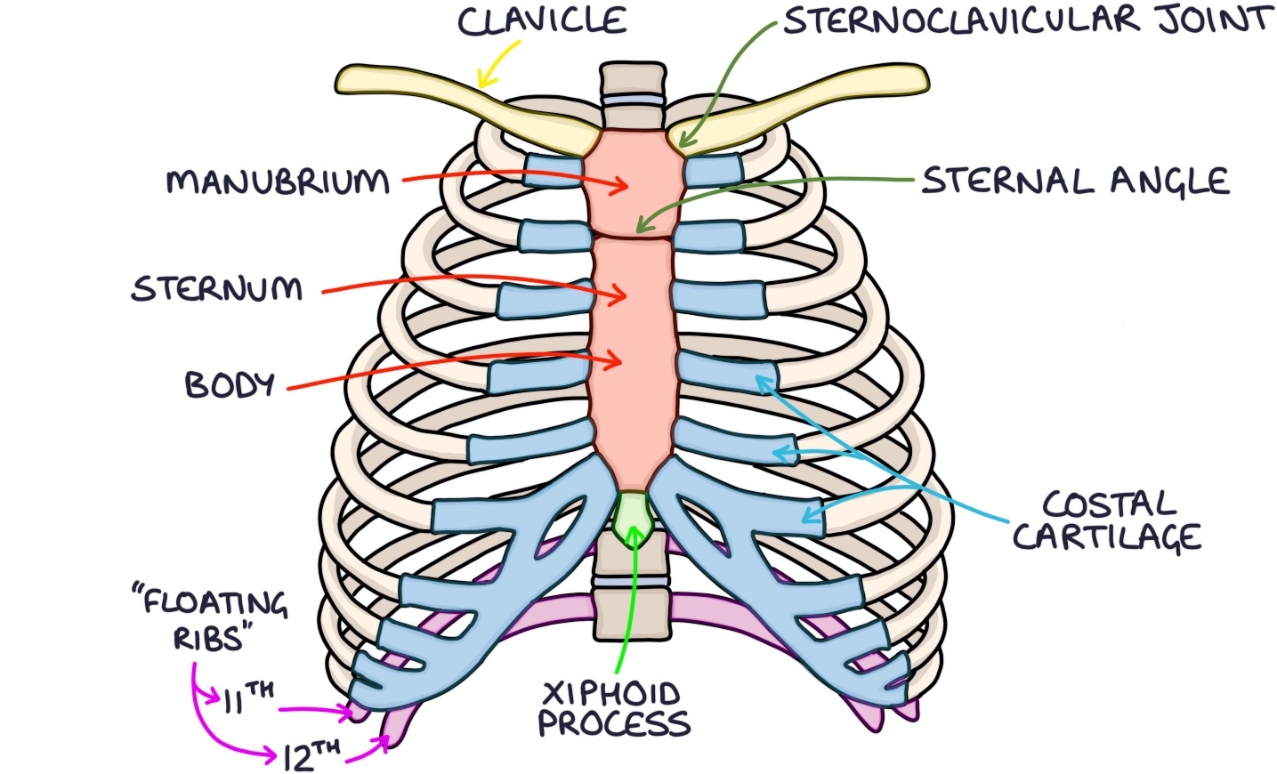 Skeleton – Zero To Finals
