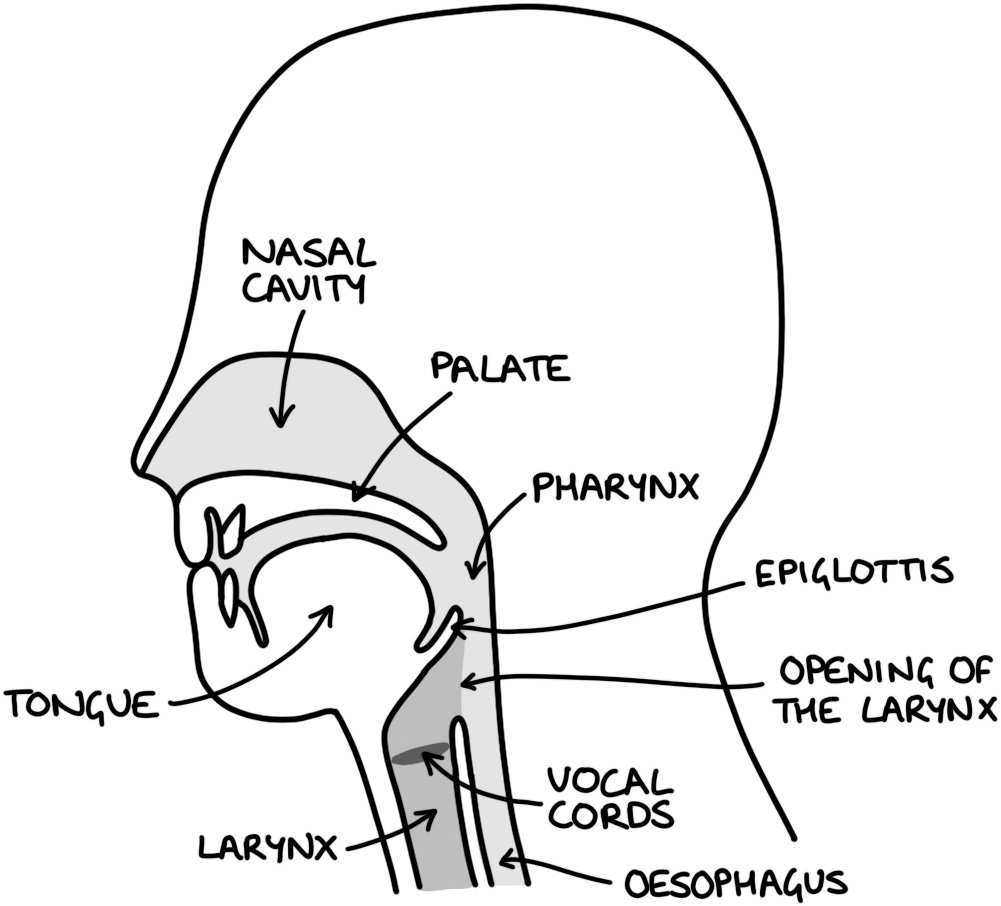 Common Procedures in Anaesthetics – Zero To Finals